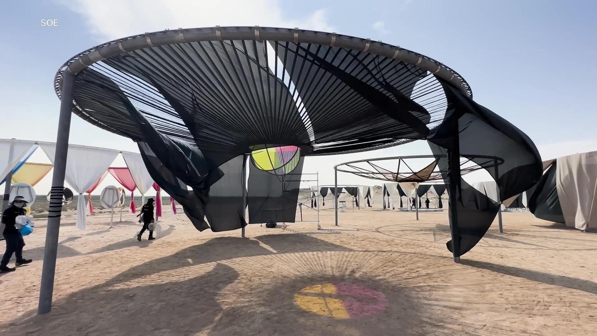 Artist uses elements of natural world to see it in new ways | PBS News ...