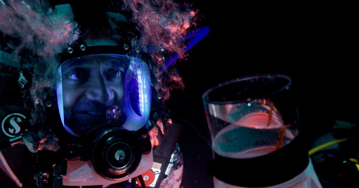 Changing Planet | Capturing Life's Genesis: Coral Spawn Collection ...