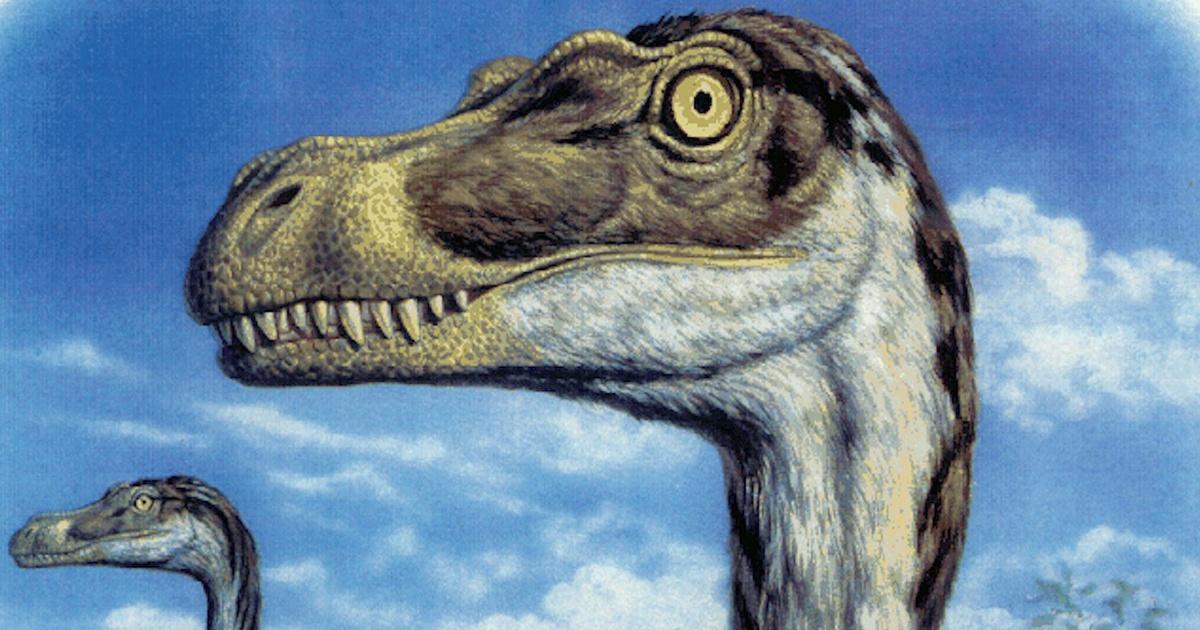 OPB Science From the Northwest | Paleo Artist Mark Hallett | Season ...