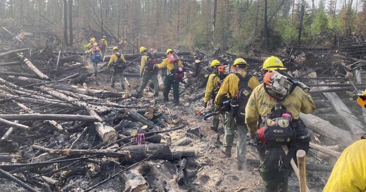 Almanac | Forest fires, Delta variant, Rep. John Thompson controversy ...