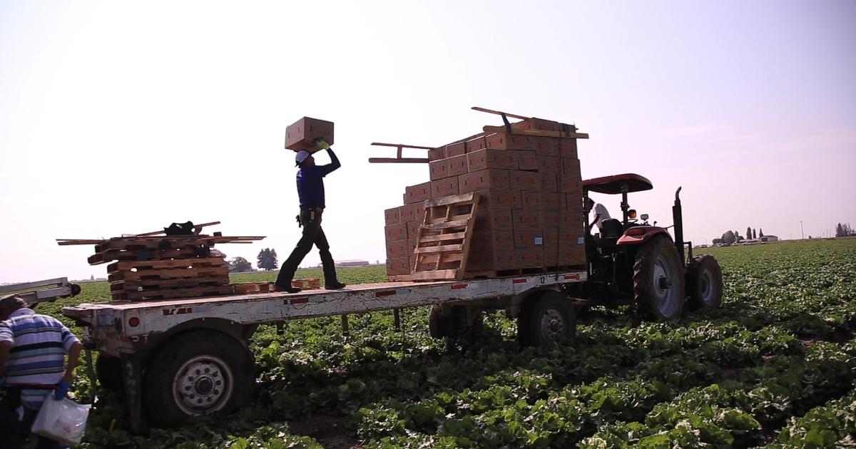 Colorado Voices | Spanish Caption CO Voices Farmworkers | Season 1 | WHYY