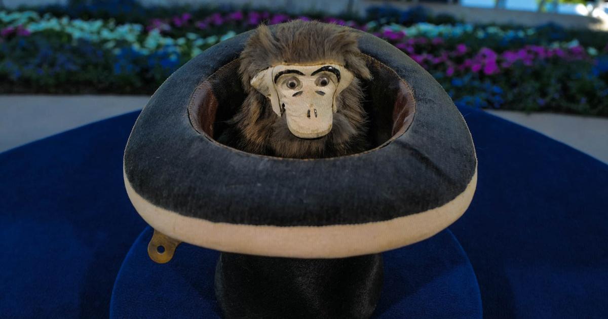 Antiques Roadshow | Appraisal: Roullet & Decamps Musical Automaton, ca ...