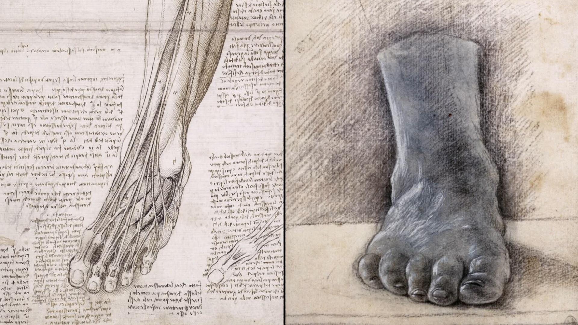 Leonardo da Vinci Investigates the Human Body | Leonardo da Vinci | ALL ...