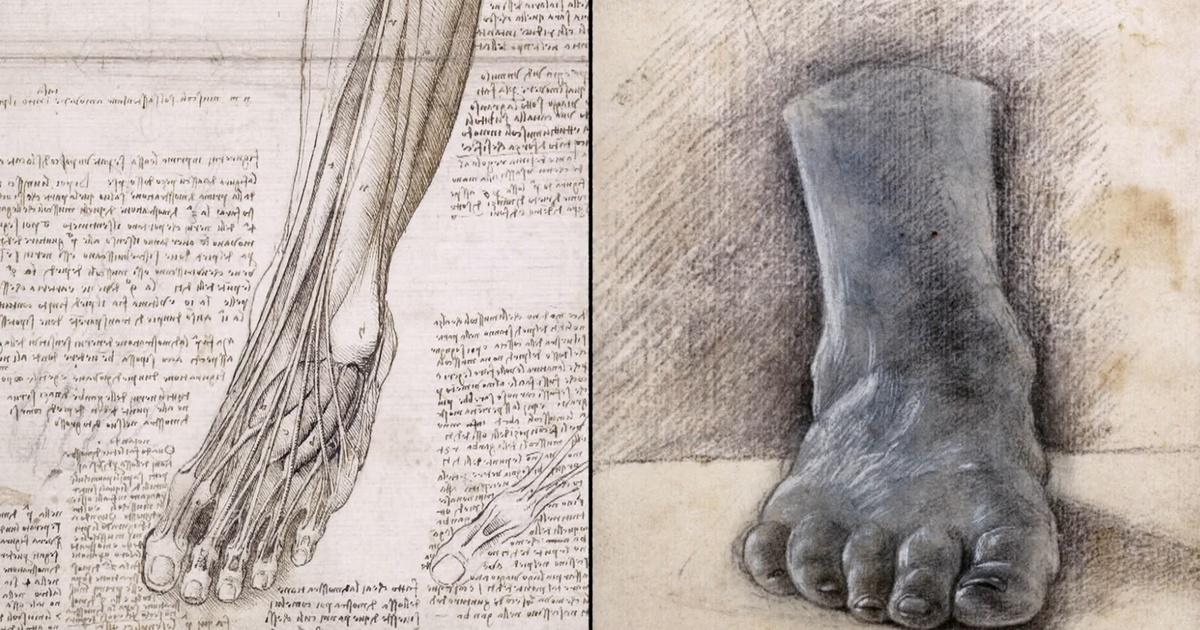 Leonardo da Vinci | Leonardo da Vinci Investigates the Human Body | PBS