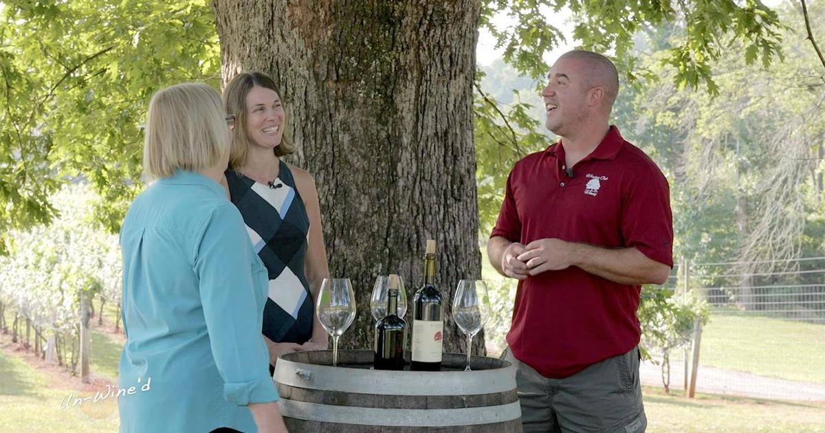 Un-Wine'd | Winemakers create small batches of wine in Virginia ...