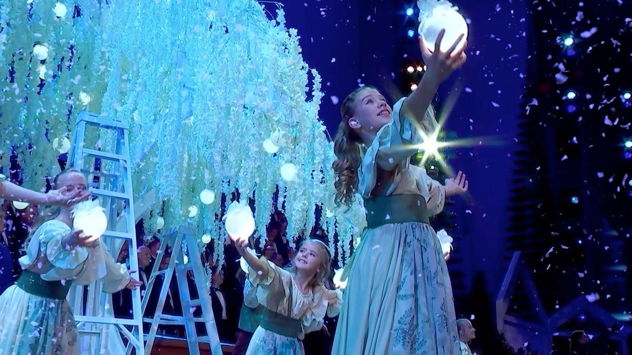 Tree of Life | Watch on PBS Wisconsin