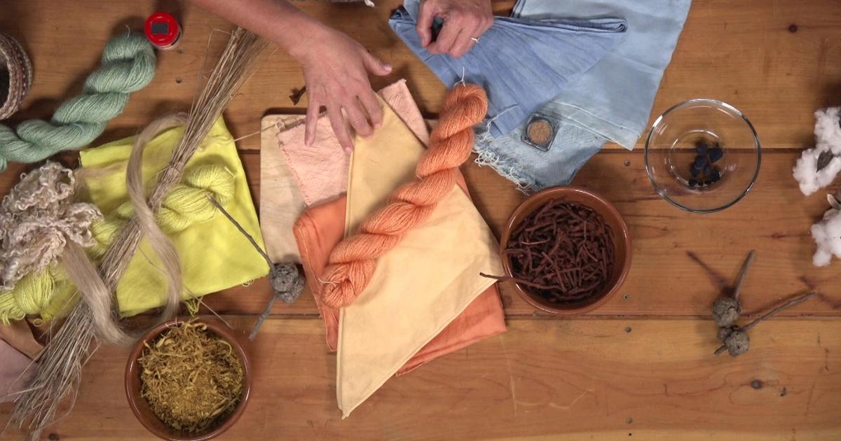 Virginia Home Grown | The Unseen Colors Inside of Plants | Season 25 ...