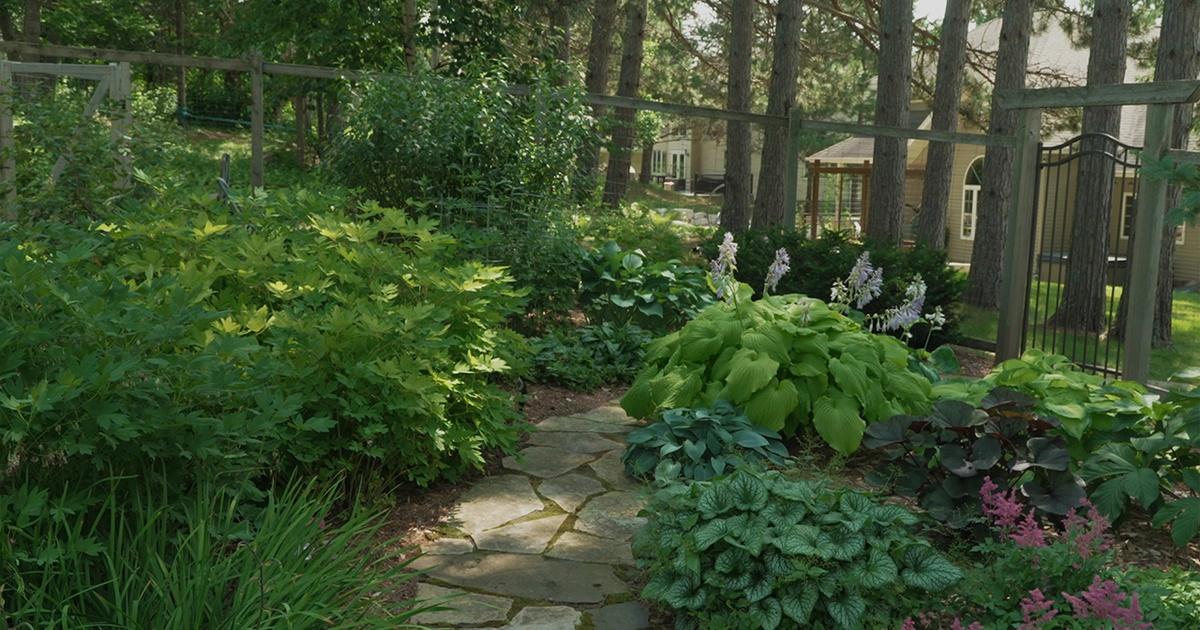Great Gardening | Talking Garden Fences | Season 22 | Episode 6 | PBS