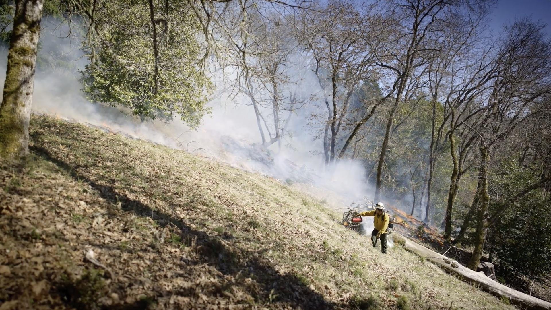 Fire Tender | The Native Practice of Controlled Burns | Local, USA ...
