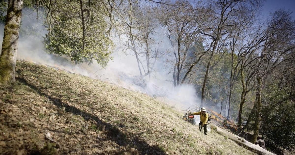 Local, USA | Fire Tender | The Native Practice of Controlled Burns ...