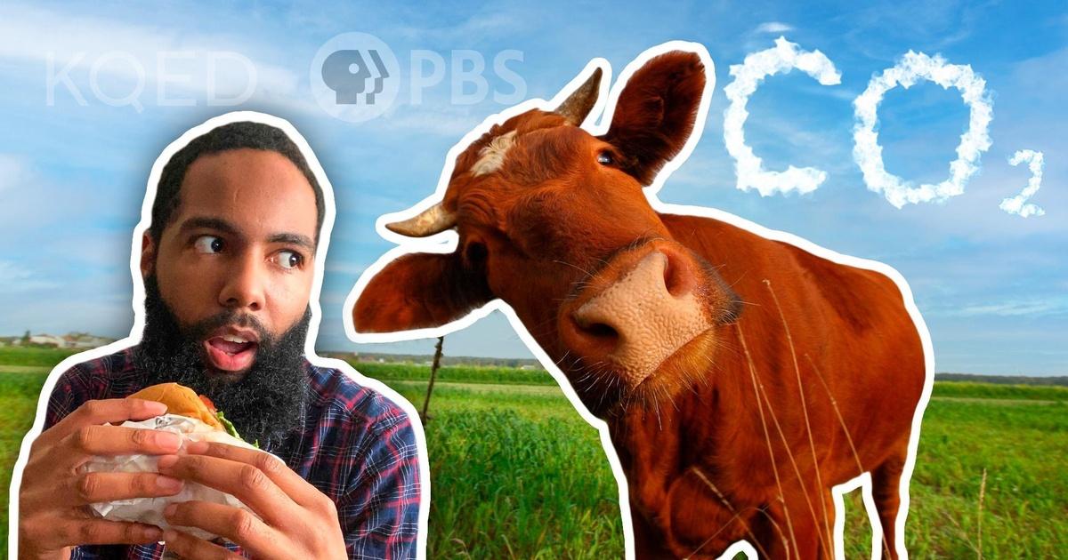 Above The Noise | Is It Time For You to Ditch Milk and Dairy? | Season ...