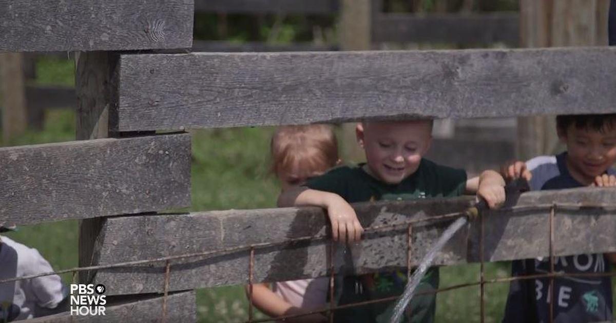 PBS News Hour | B is for bug when preschoolers make nature their ...