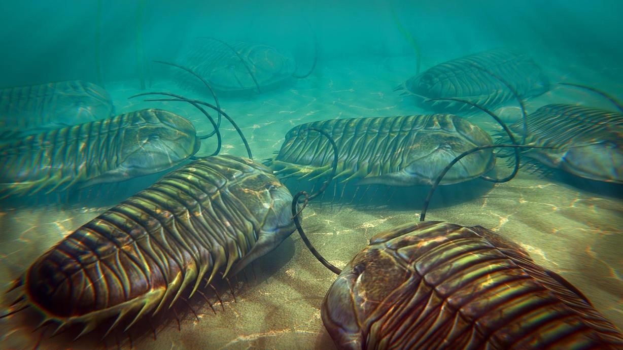 How Ancient Microbes Rode Bug Bits Out to Sea | Watch Eons on PBS Wisconsin
