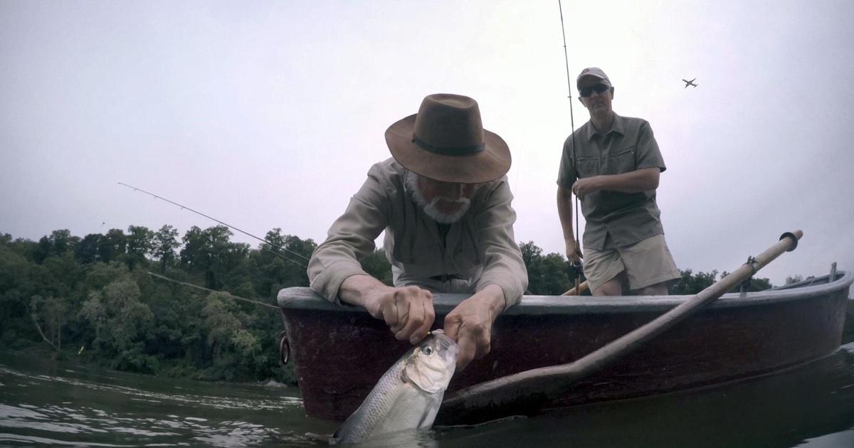 Chesapeake Bay Week | Shad Run | PBS