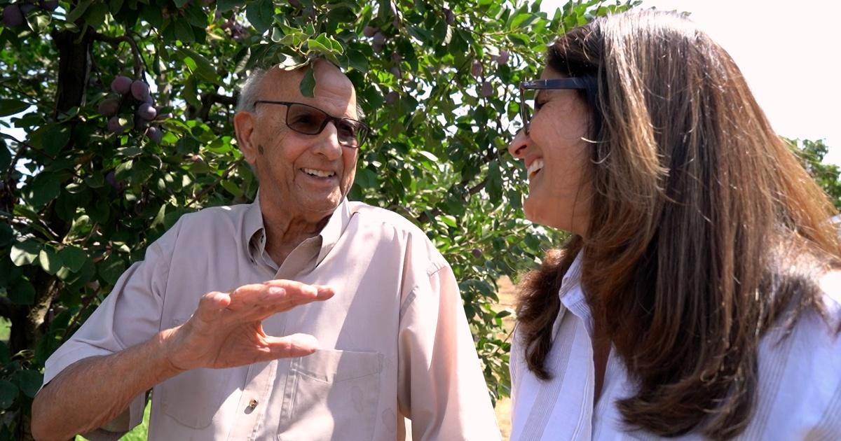 America's Heartland | Manseena Orchards | Season 18 | PBS