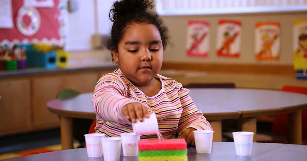 Detroit PBS Early Learning | Sponge| Preschool Matters! | PBS