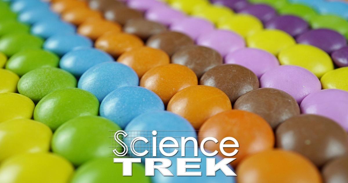 Science Trek | Five Senses: Tricked Views | PBS