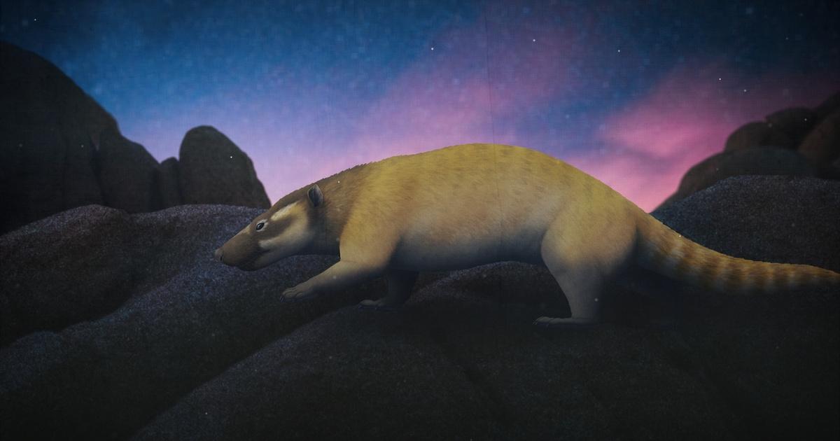 Eons | When Mammals Only Went Out At Night | Season 4 | Episode 10 | PBS