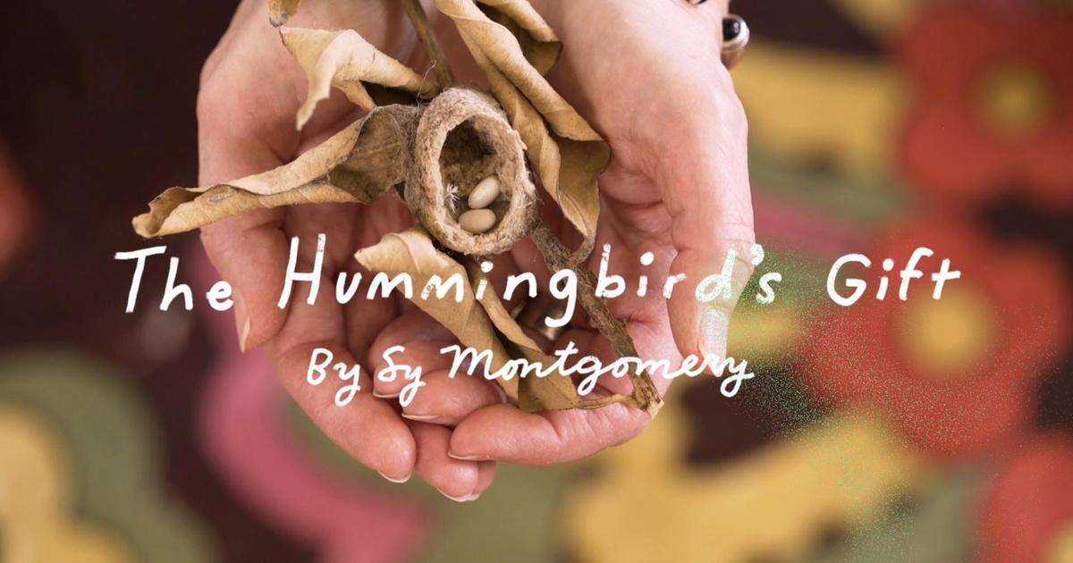 NHPBS Presents | "The Hummingbird's Gift" by Sy Montgomery | PBS