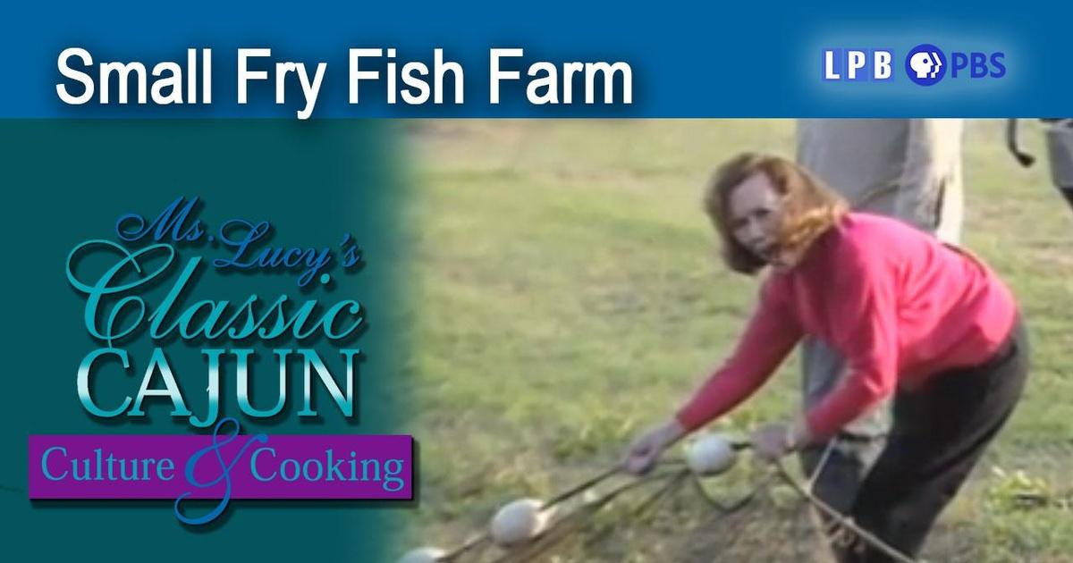 Ms. Lucy's Classic Cajun Culture and Cooking | Small Fry Fish Farm ...