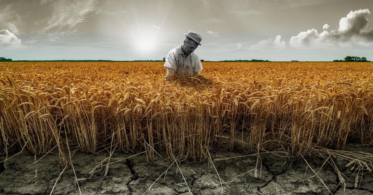 American Experience | The Man Who Tried to Feed the World | Season 32 ...