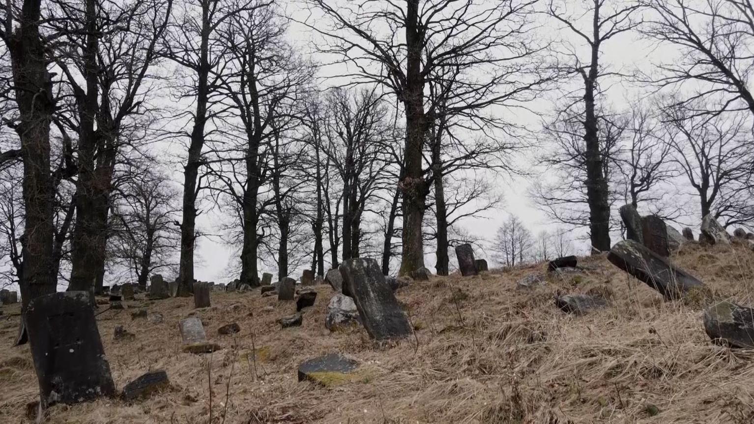 The U.S. and the Holocaust | PBS