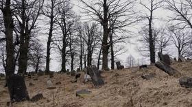 The U.S. and the Holocaust | PBS