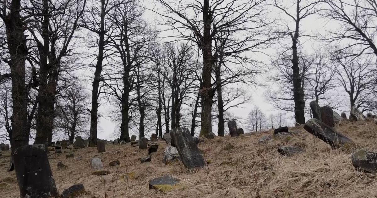 The U.S. and the Holocaust | Not Every Jew Died in a Concentration Camp ...