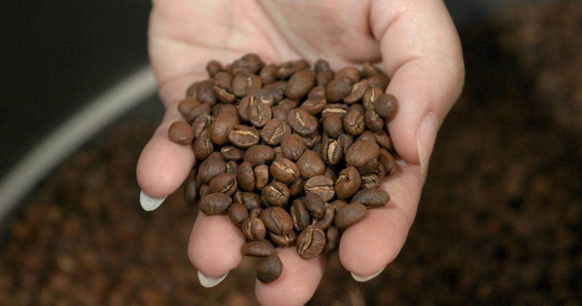 Superabundant | Coffee | Superabundant | Season 3 | OPB