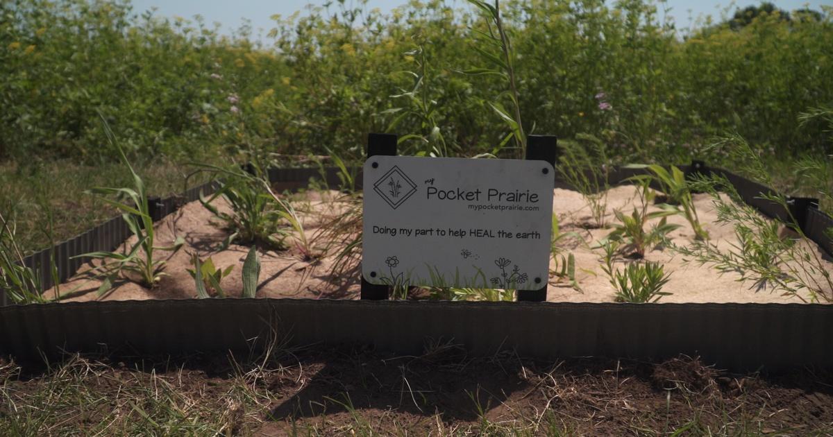 Prairie Sportsman | My Pocket Prairie | Season 12 | Episode 2 | PBS