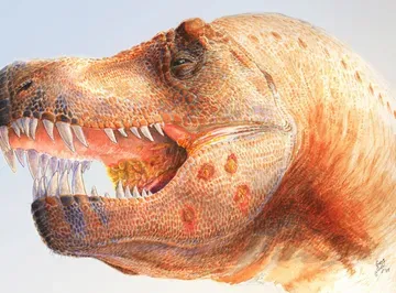 NOVA | Alaskan Dinosaurs | Season 48 | Episode 21 | PBS