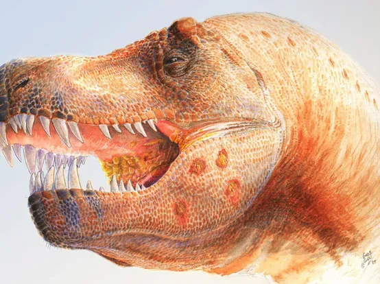 NOVA | Alaskan Dinosaurs | Season 48 | Episode 21 | PBS