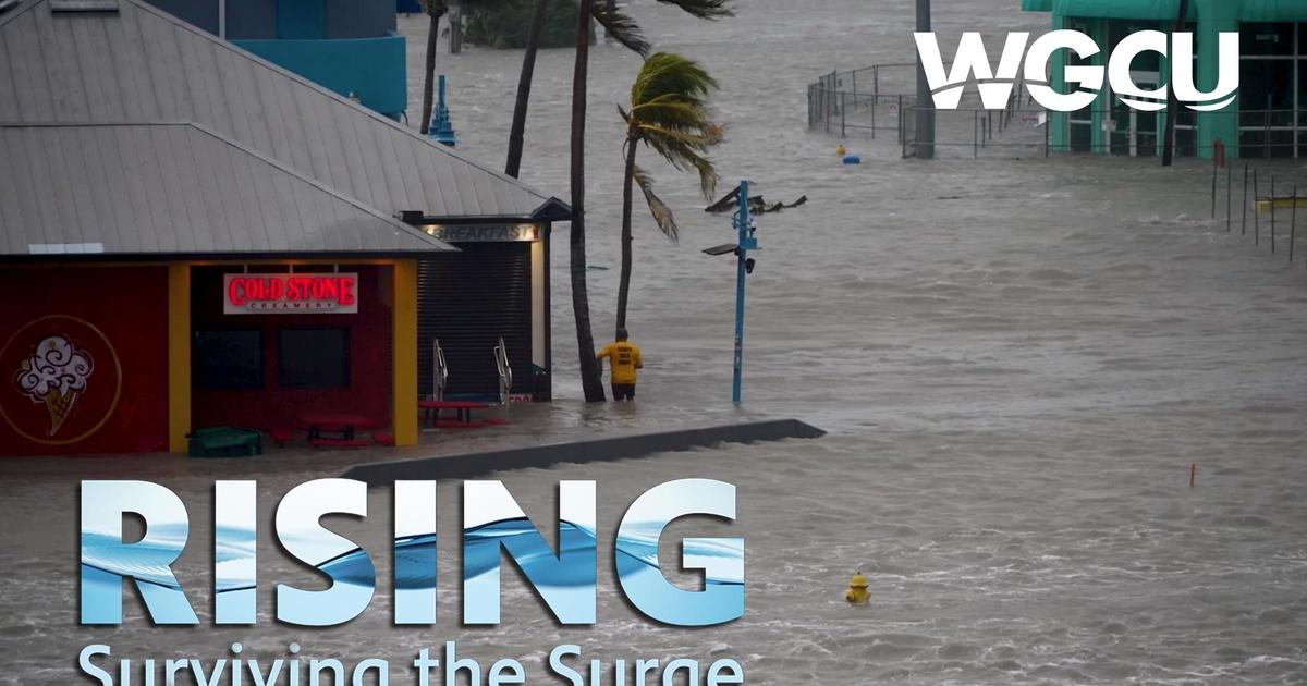 Rising: Surviving The Surge | WGCU-PBS