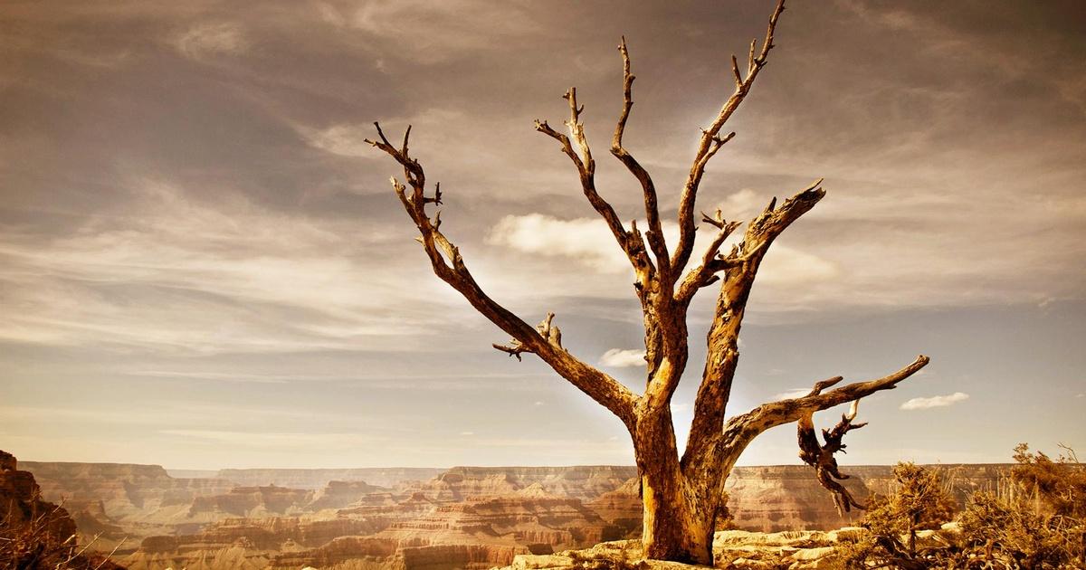 Weathered | The Worst Drought in 1200 Years | Season 1 | Episode 3 | PBS