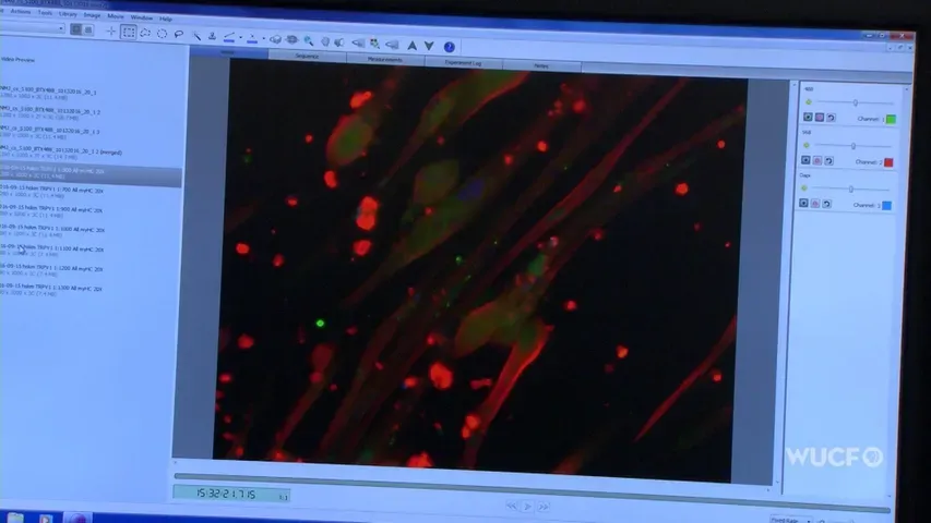 SCIENCE! | PBS
