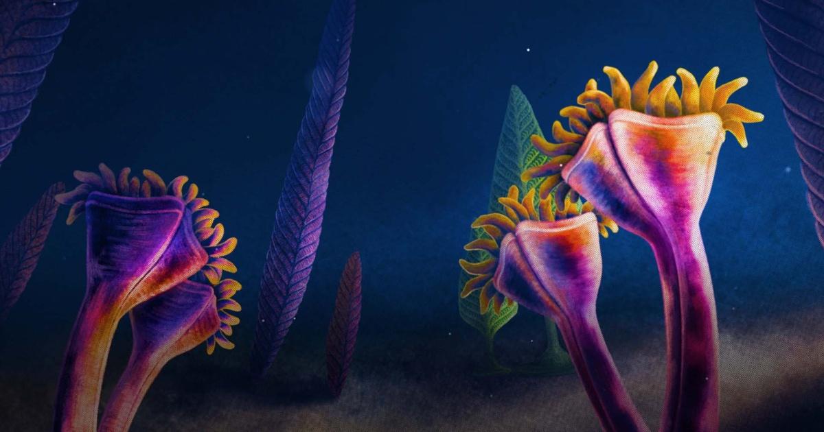 Eons | Animals Are Older Than We Thought | Season 6 | Episode 13 | PBS