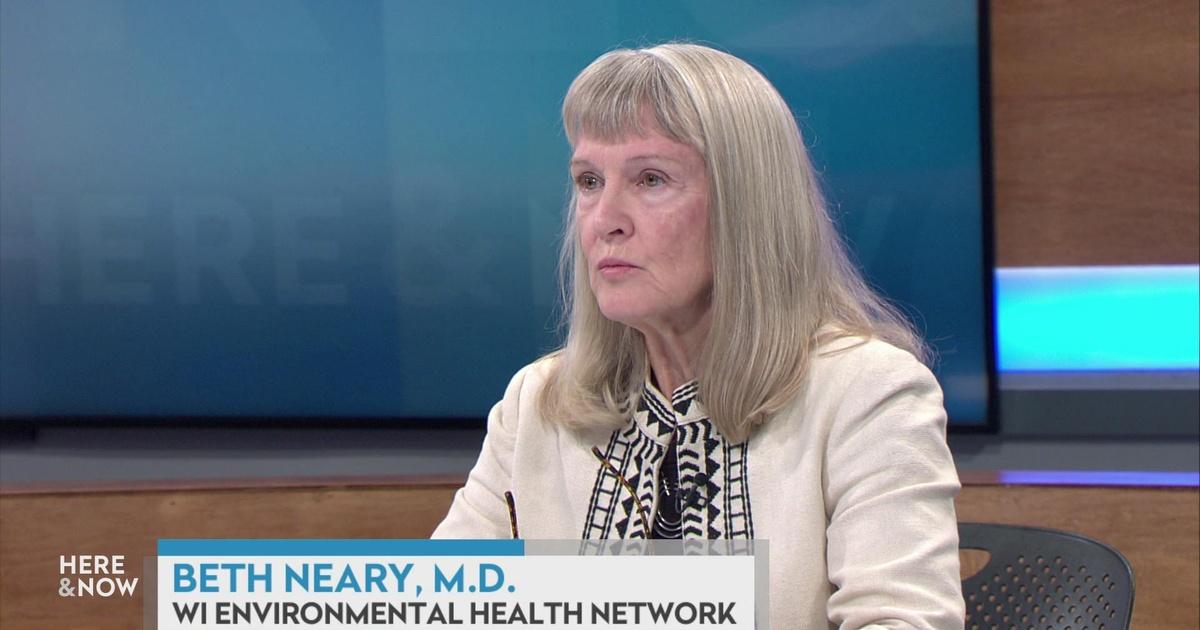 Here and Now | Dr. Beth Neary on Blood Lead Levels Tests for Young ...