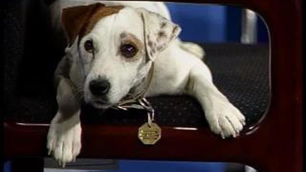 Almanac - Wishbone - Twin Cities PBS