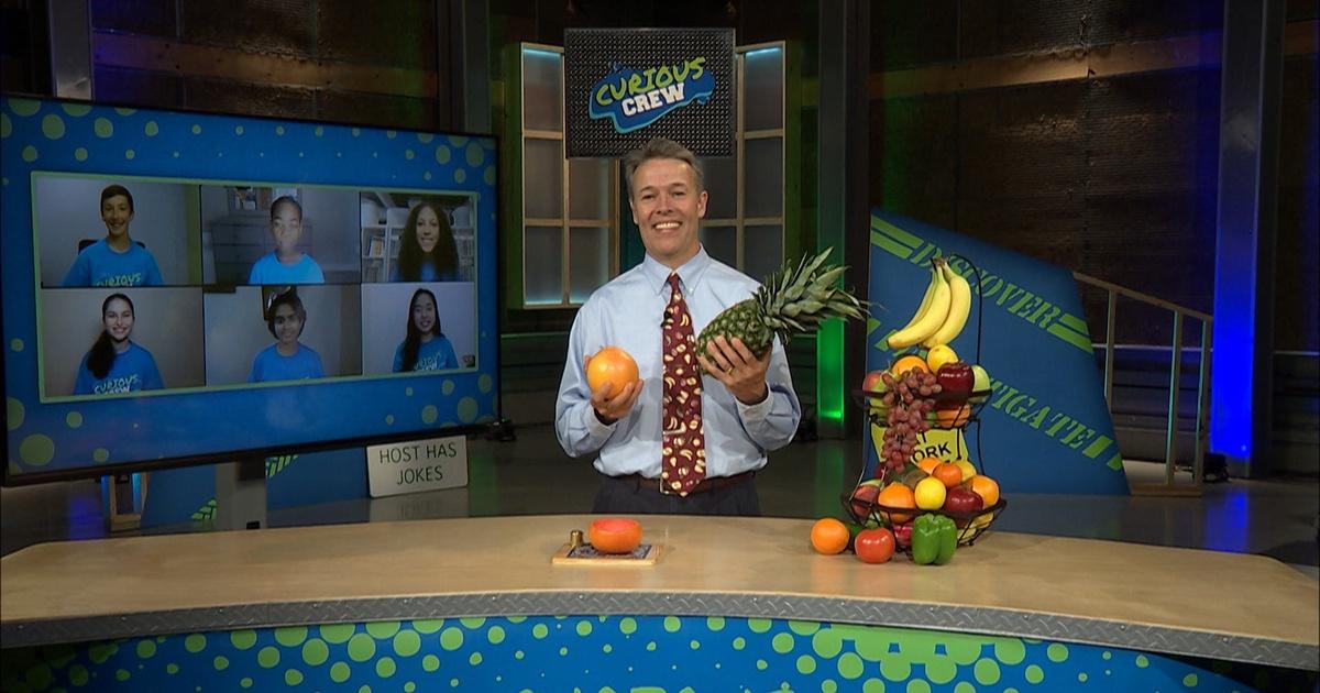 Curious Crew | Fruit Science | Season 8 | PBS