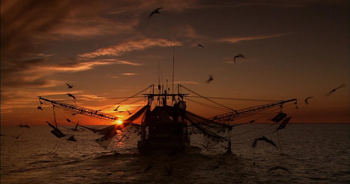 Alabama Public Television Presents | In the Path of the Storms | PBS