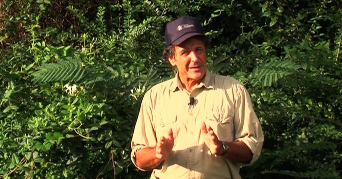 Discovering Alabama | Invasive Species | PBS