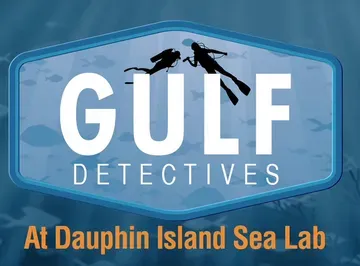 Learning Adventures | Exploring Monticello | PBS