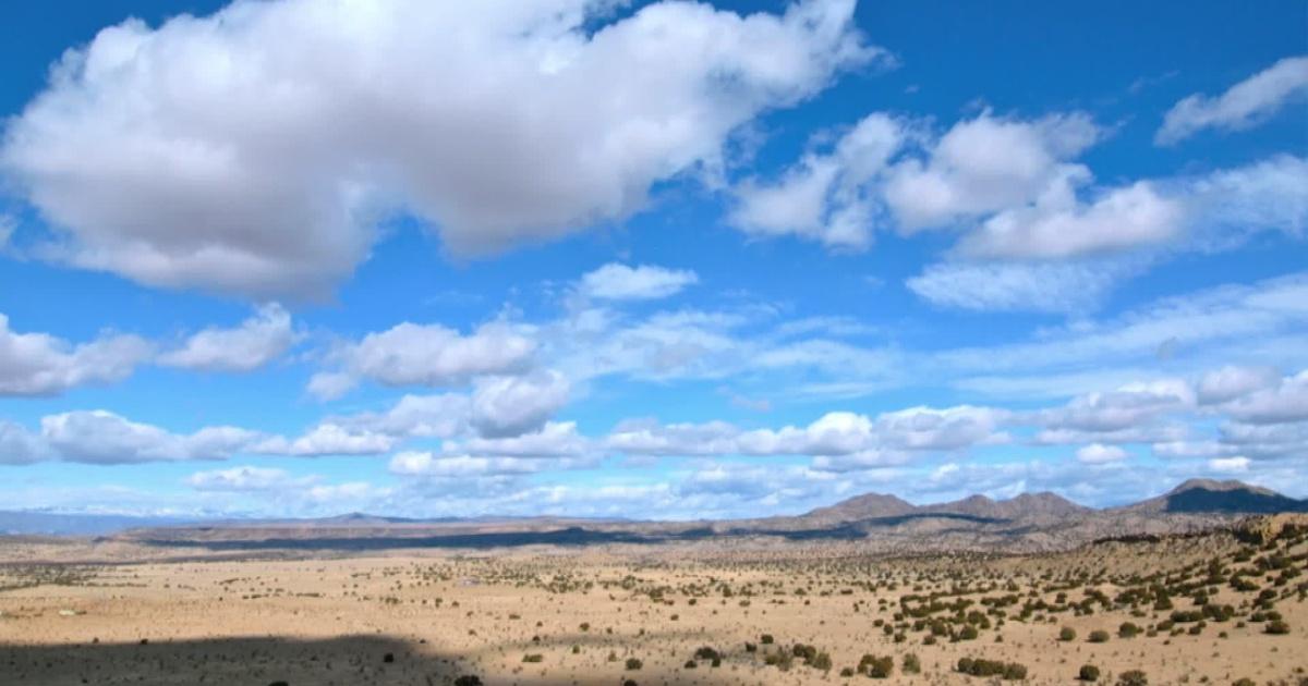 WEDU Arts Plus | 438: Aj Meek | Season 4 | Episode 38 | PBS