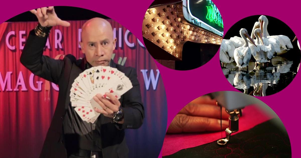 WEDU Arts Plus | Season 5 | Episode 538 Preview | PBS