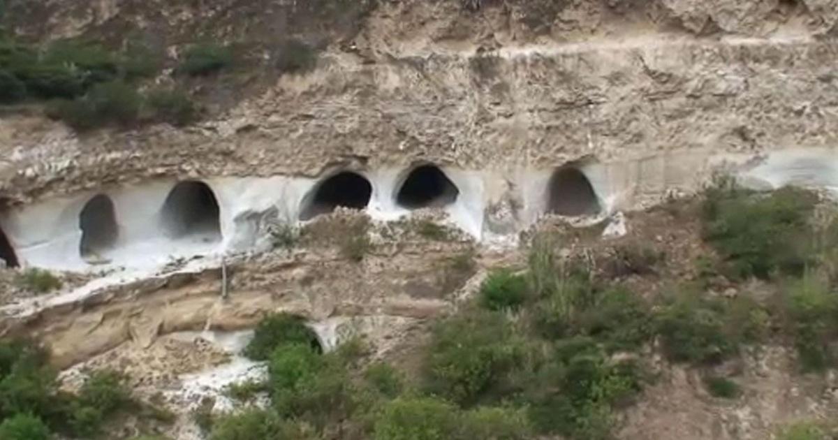 Journey of the Broad-Winged Hawk | Caves | PBS