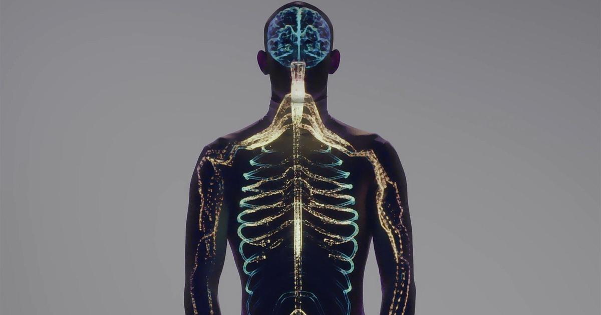 Human: The World Within | The Human Body's Nervous System | Episode 6 | PBS