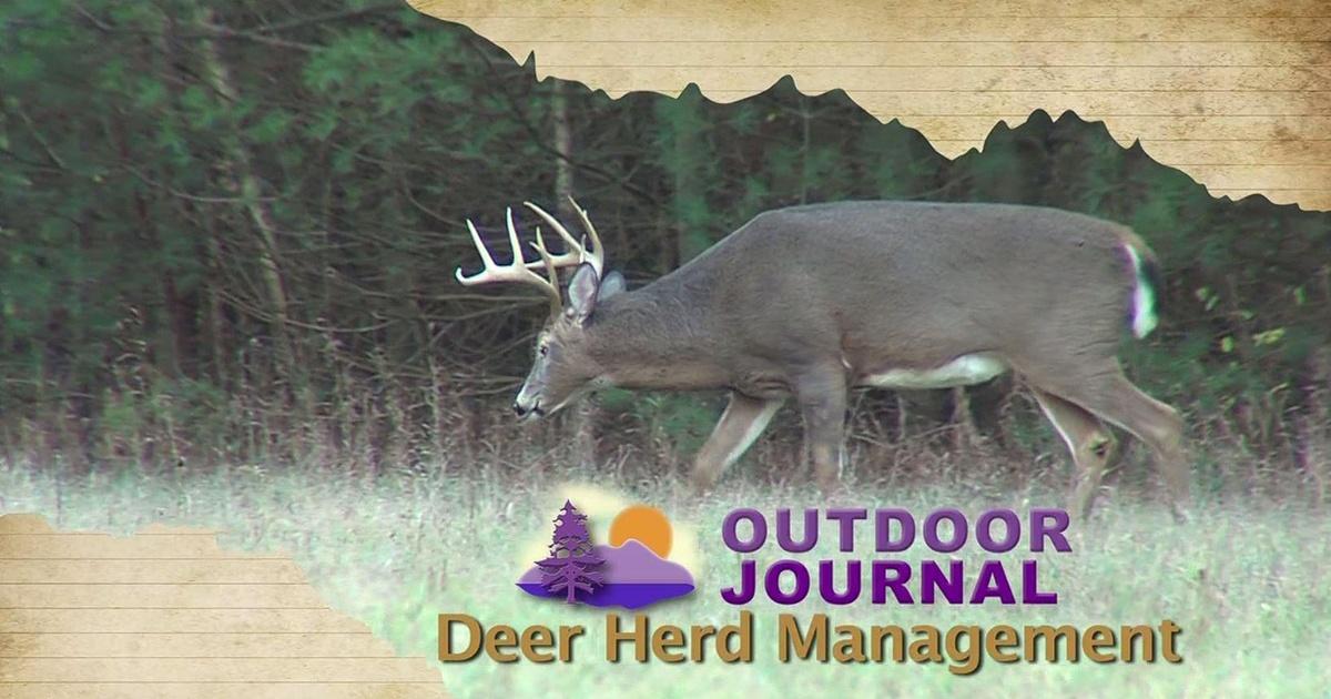Outdoor Journal | Deer Herd Management 2015 | PBS