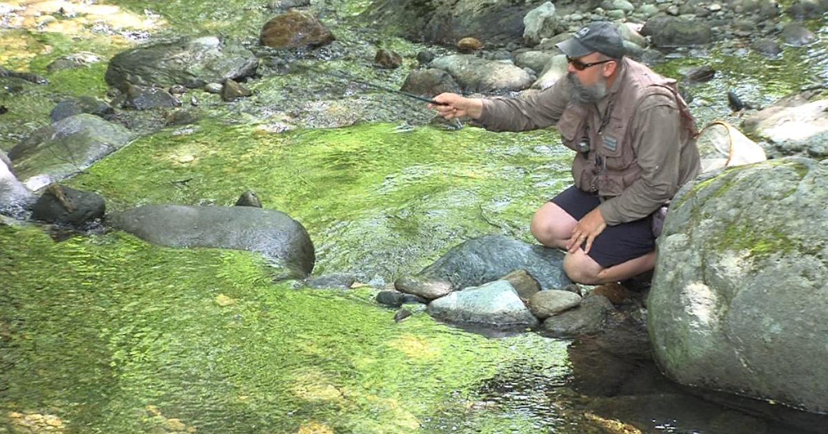 Outdoor Journal | PBS