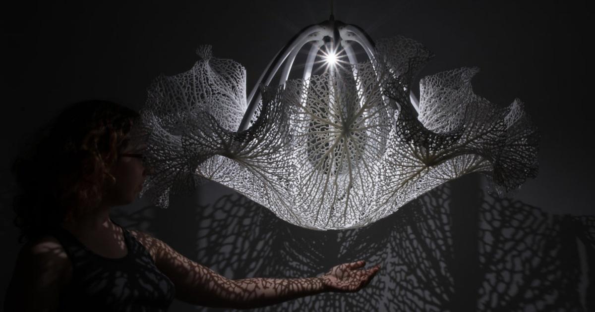 AHA! A House for Arts | Nervous System Studio Bridges Art, Science, and ...