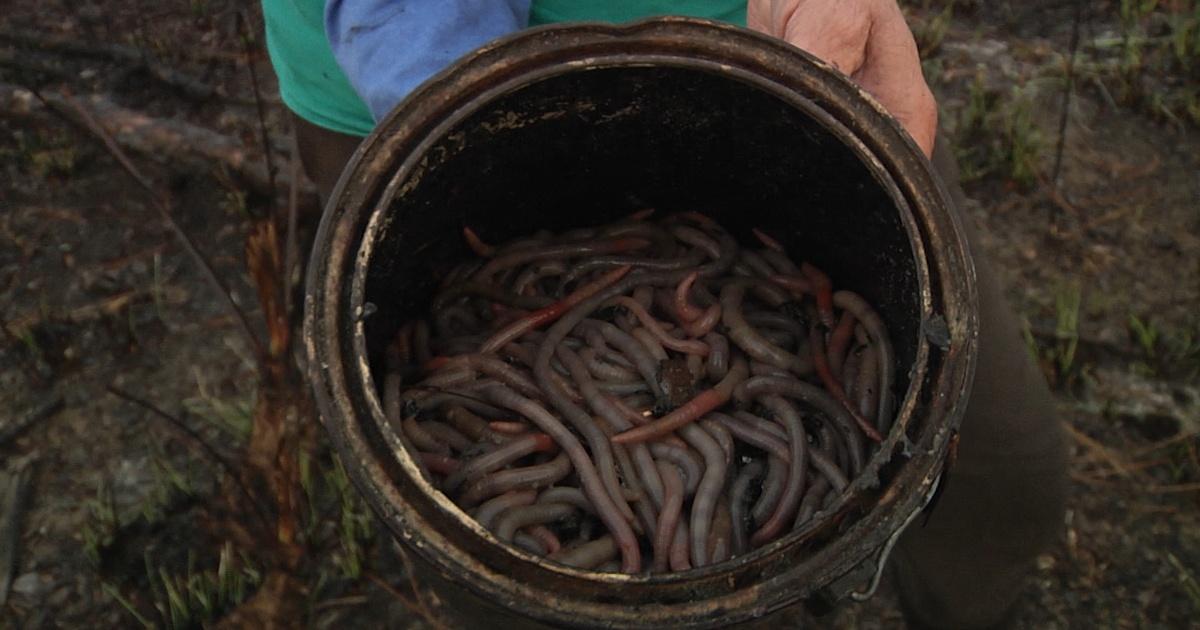 Local Routes | Early Morning Worm Gruntin’ | Season 1 | Episode 21 | PBS
